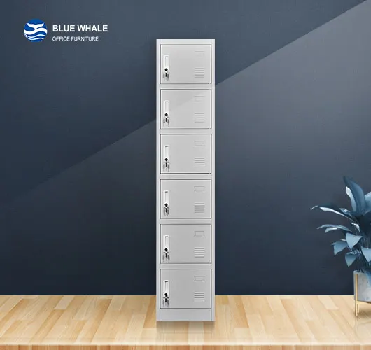 6 Door Compartment Steel Locker | Blue Whale