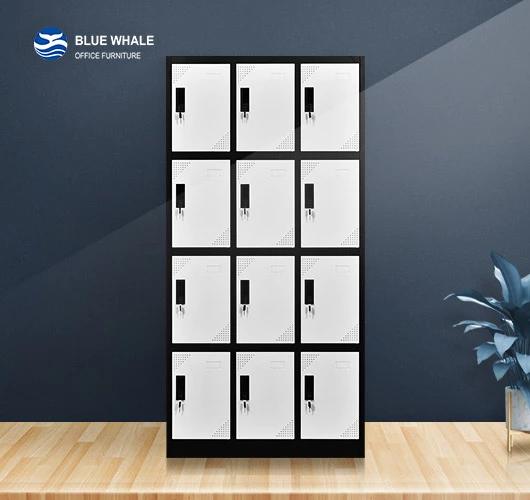 12 Door Gym Lockers | Blue Whale